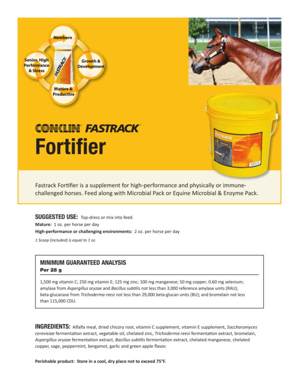 FASTRACK FORTIFIER
