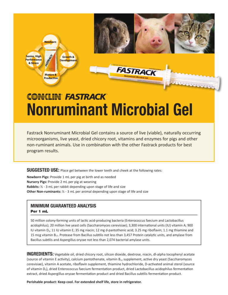 FASTRACK NONRUMINANT GEL