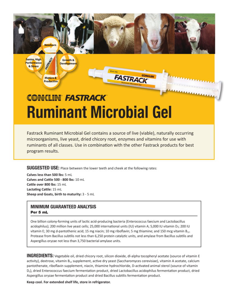FASTRACK® RUMINANT GEL